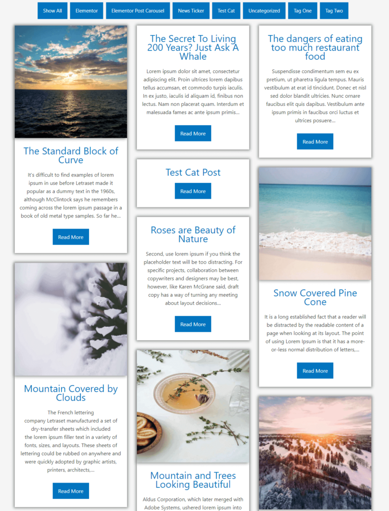 Elementor Blog Post and Category Filter - Plugin Devs